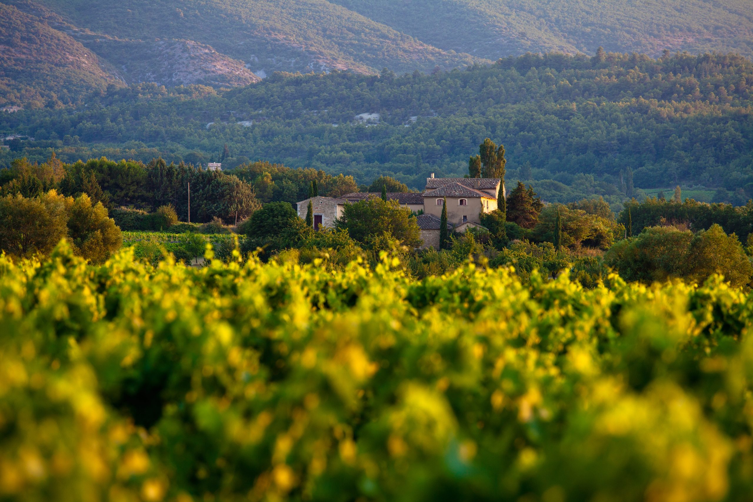 Capitale du Luberon – Ville d’Apt